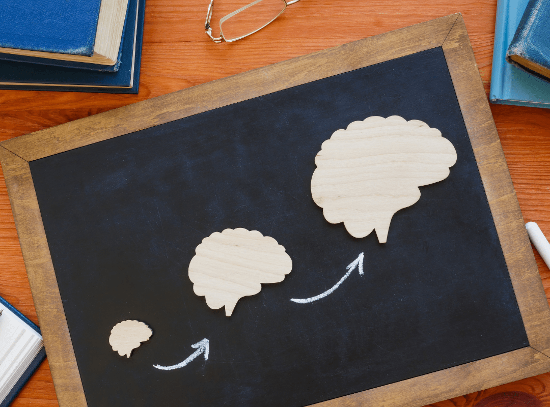 Understanding Baby Brain Development: A Neuroscientist's View – OtterSpace